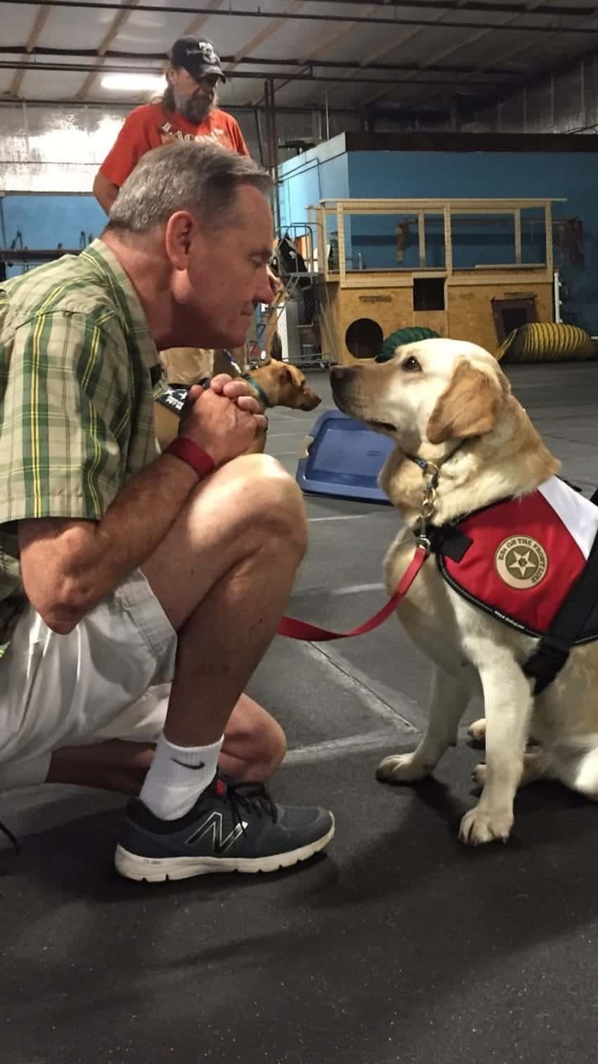 When Nothing Else Helped His PTSD, This Veteran Was Saved By His ...