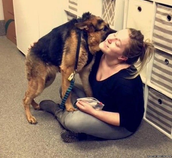 Dog With Short Spine Syndrome Is Full Of Love 2024 - Hearts Of Pets
