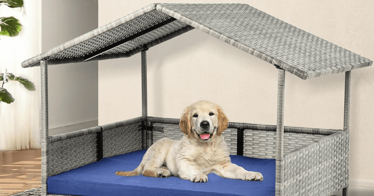 The Best Indoor Dog House For Comfortable Living 2024