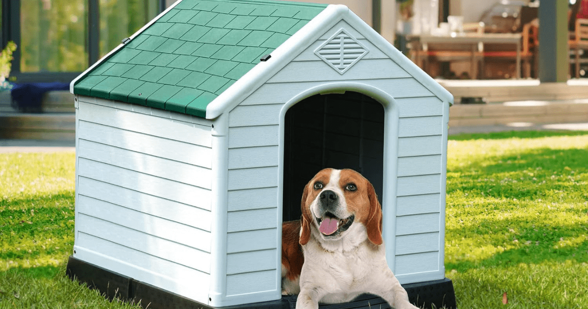 Best Outdoor Dog House For Your Furry Friend In 2024 - Hearts Of Pets
