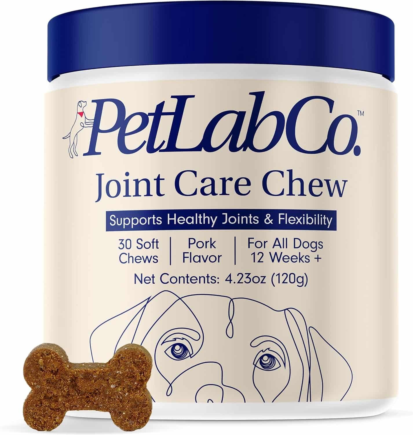 Best Supplement For Dogs With Arthritis: A Comprehensive Guide - Hearts ...