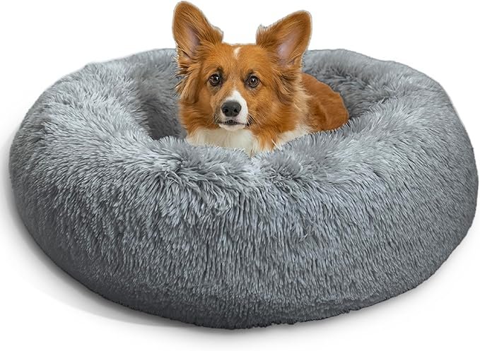 Best Donut Dog Bed For A Cozy And Comfortable Sleep - Hearts Of Pets