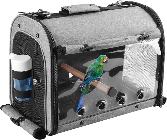 The Best Bird Travel Carrier For Safe And Comfortable Trips In 2024 ...