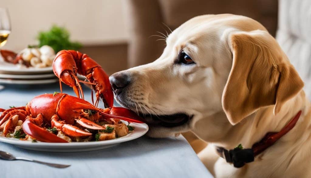 Can Dogs Eat Lobster? Safe Feeding Tips