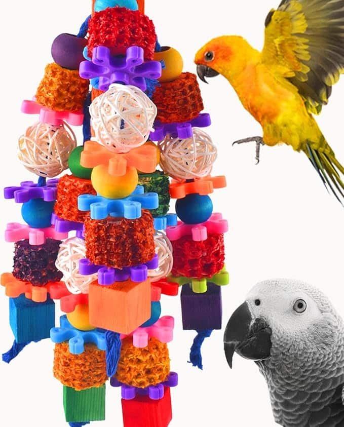 8 Best Bird Toys For Your Feathered Friend: Top Picks And Reviews