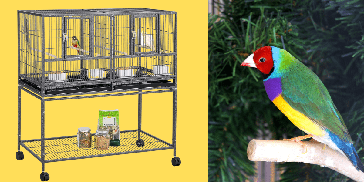 Best Bird Cage For Finches: Top Picks For 2025 - Hearts Of Pets