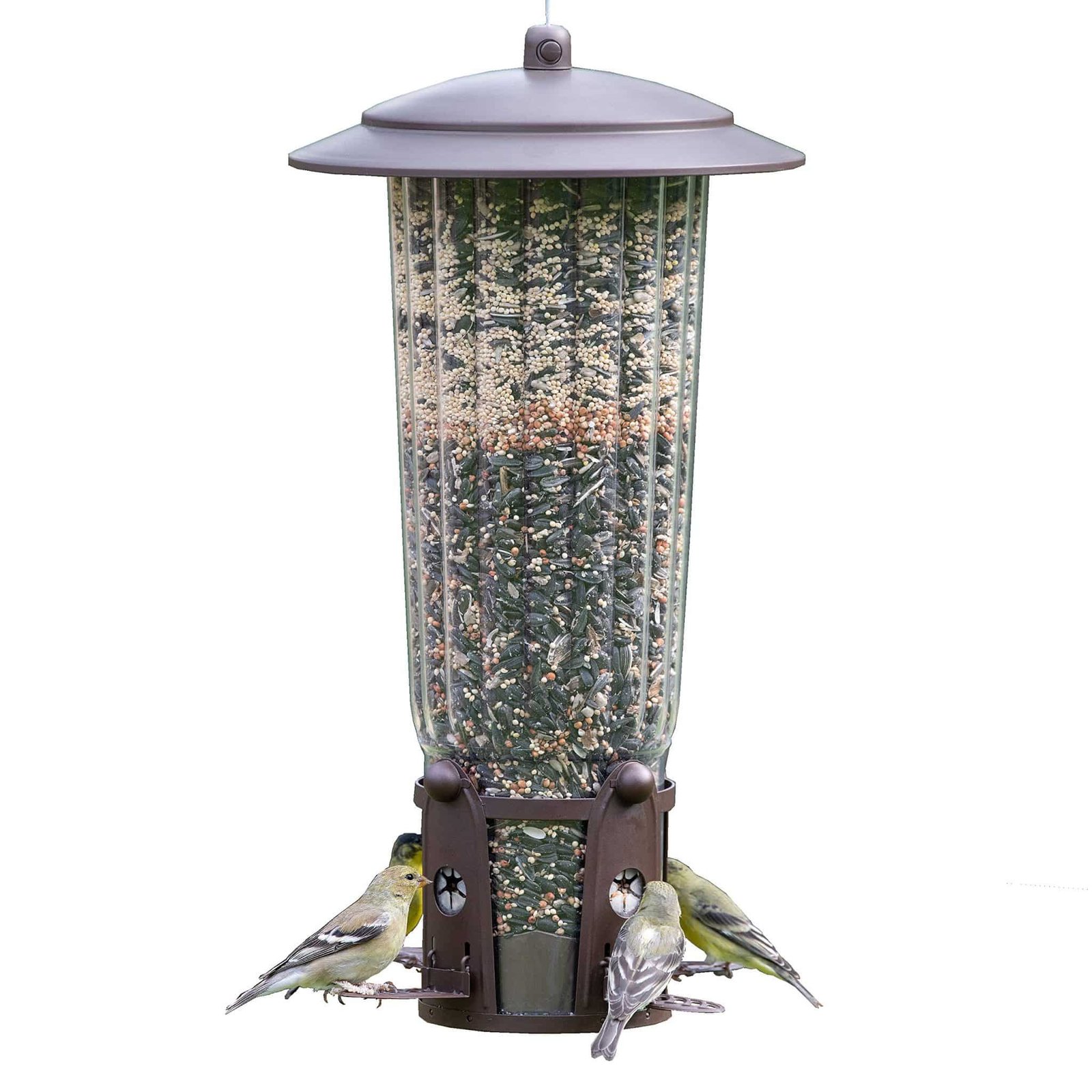 8 Best Bird Feeders For Large Birds: Top Picks For 2024 - Hearts Of Pets