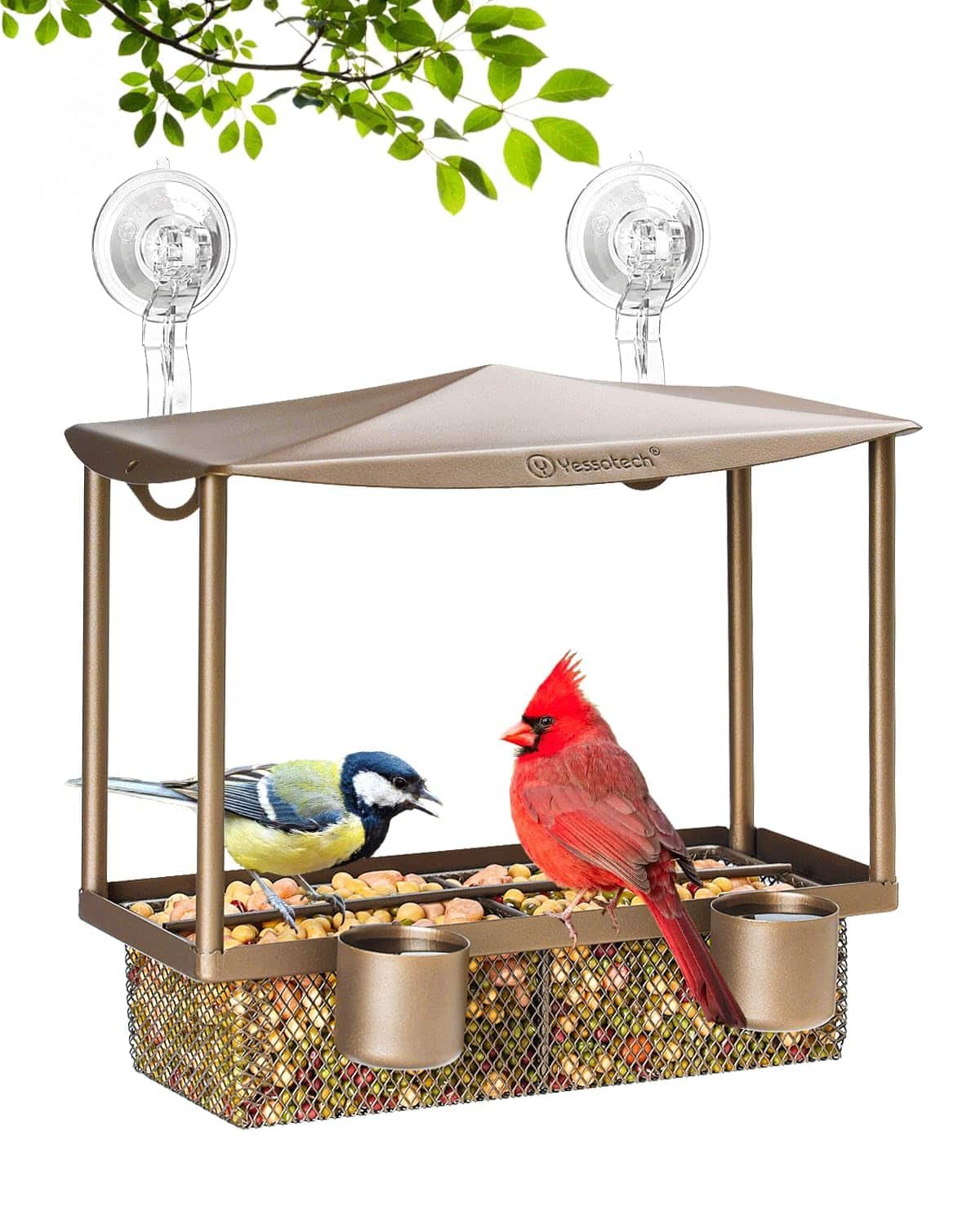 8 Best Bird Feeders For Attracting A Variety Of Birds