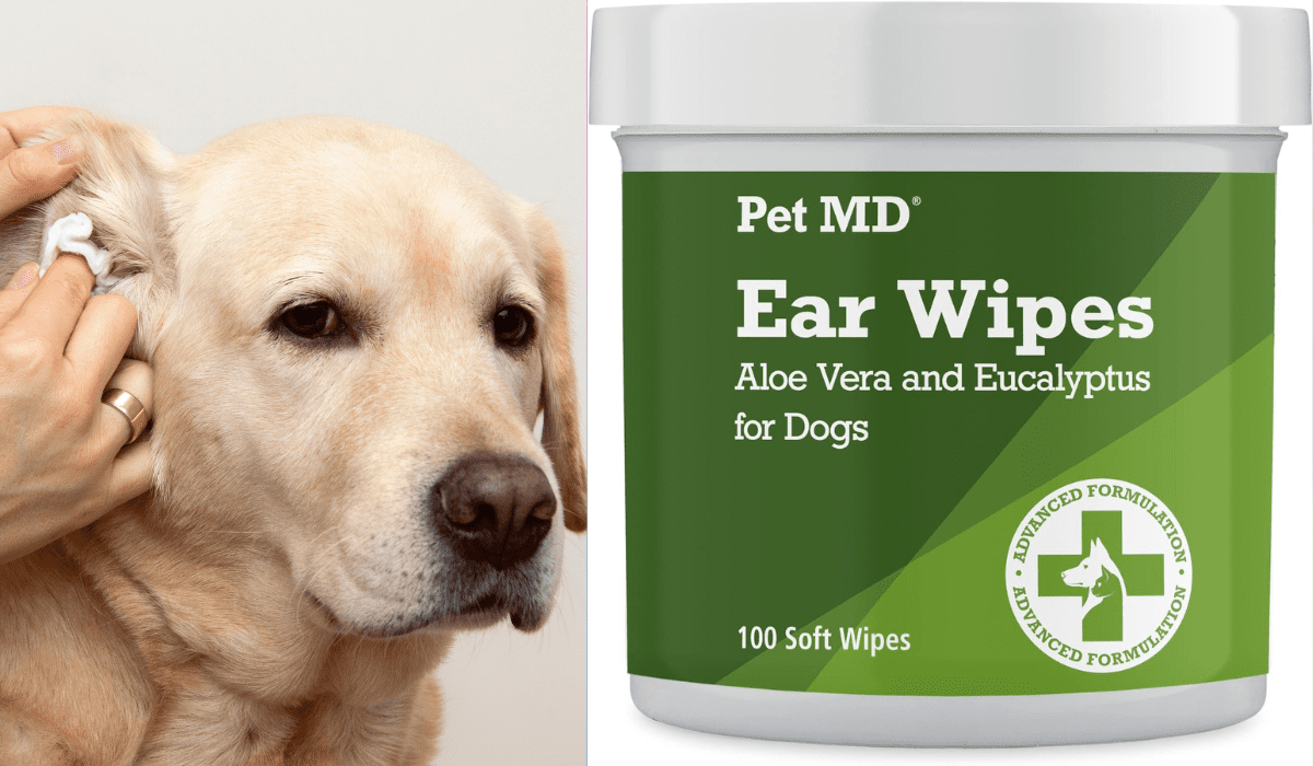 Best Dog Ear Cleaners: Top 8 Products For 2024 - Hearts Of Pets