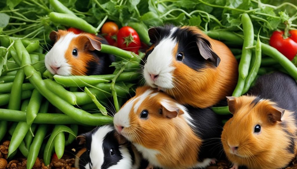 Can Guinea Pigs Eat Runner Beans? Find Out Here!