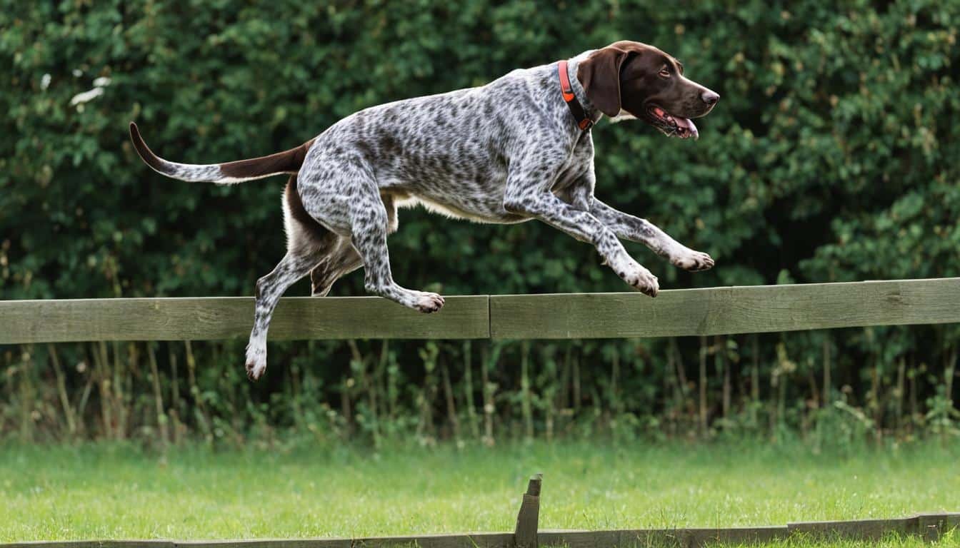Understanding German Shorthaired Pointer Behavior Issues