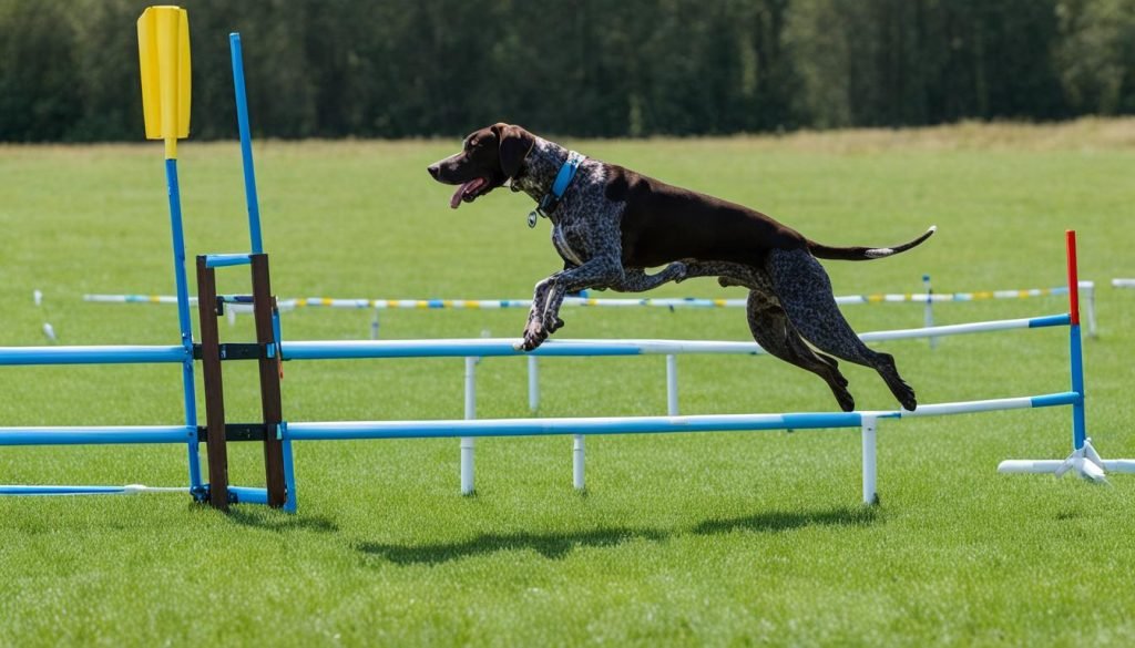Understanding German Shorthaired Pointer Behavior Issues